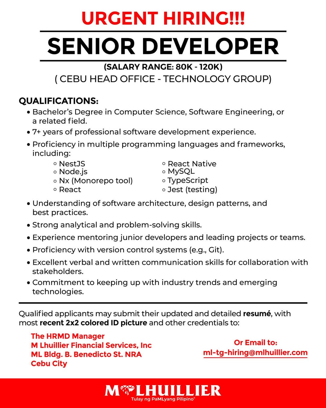 Senior Developer - Job Details